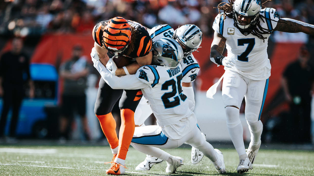 PHOTOS: Game action shots from Panthers-Bengals