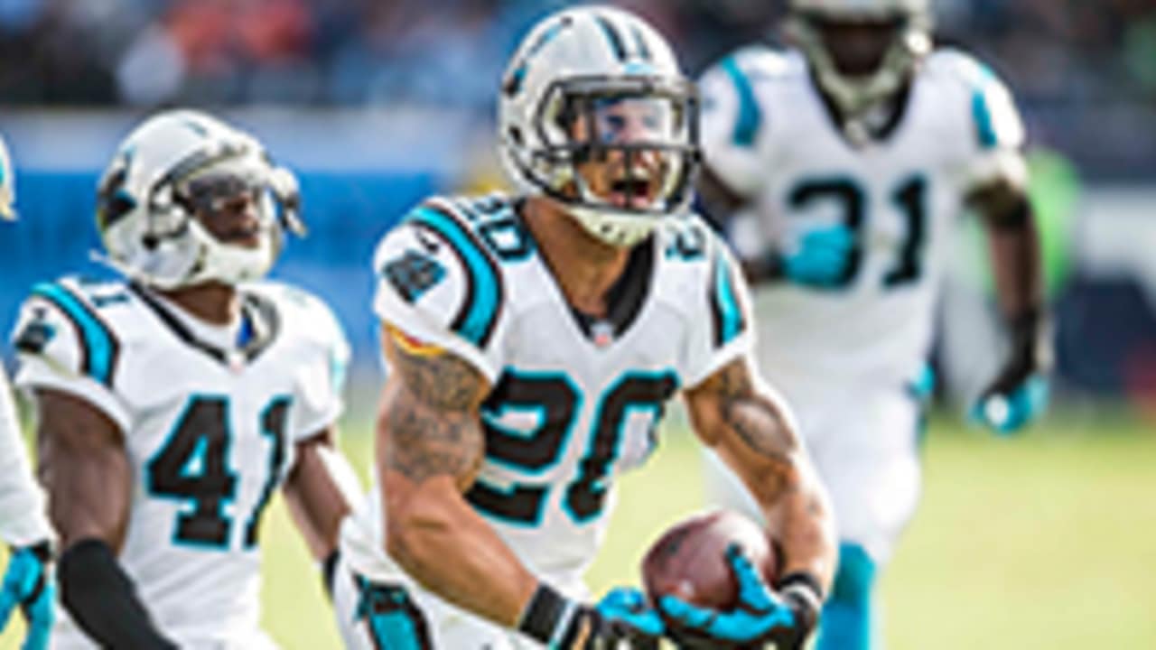 Panthers Playing Takeaway