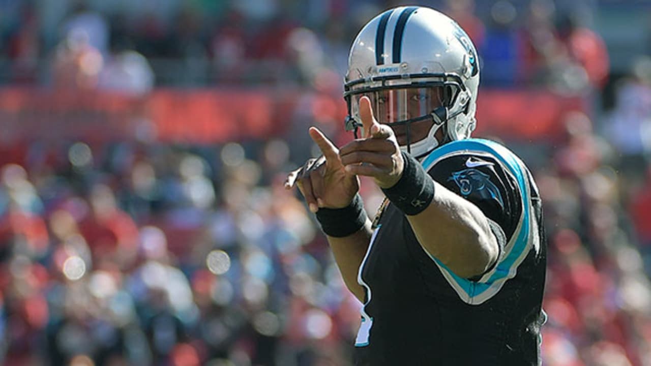 Panthers in the Power Rankings: Week 9