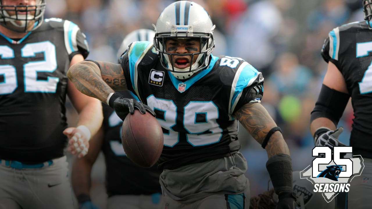 Best of the Panthers in 2012 season