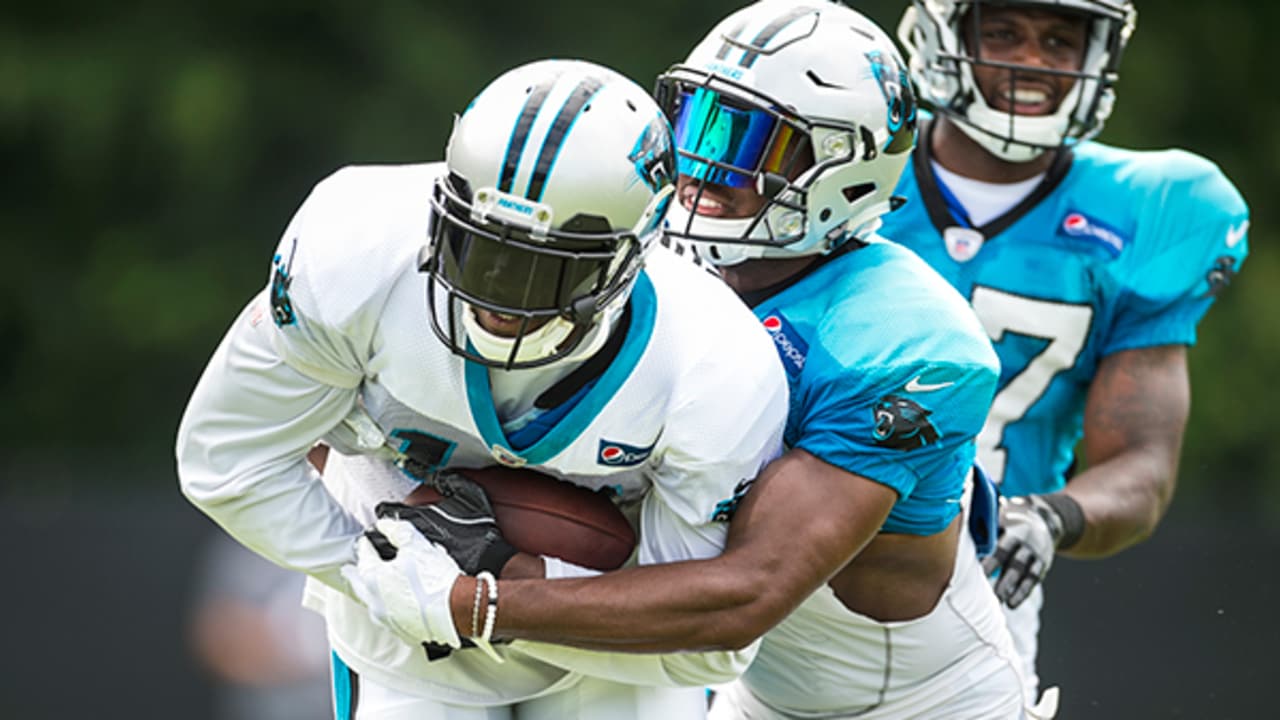 Panthers Training Camp Observations: Day 5