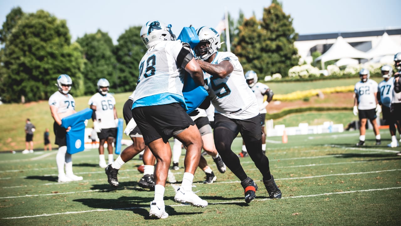 With veterans at multiple positions, the Panthers are looking for the ...