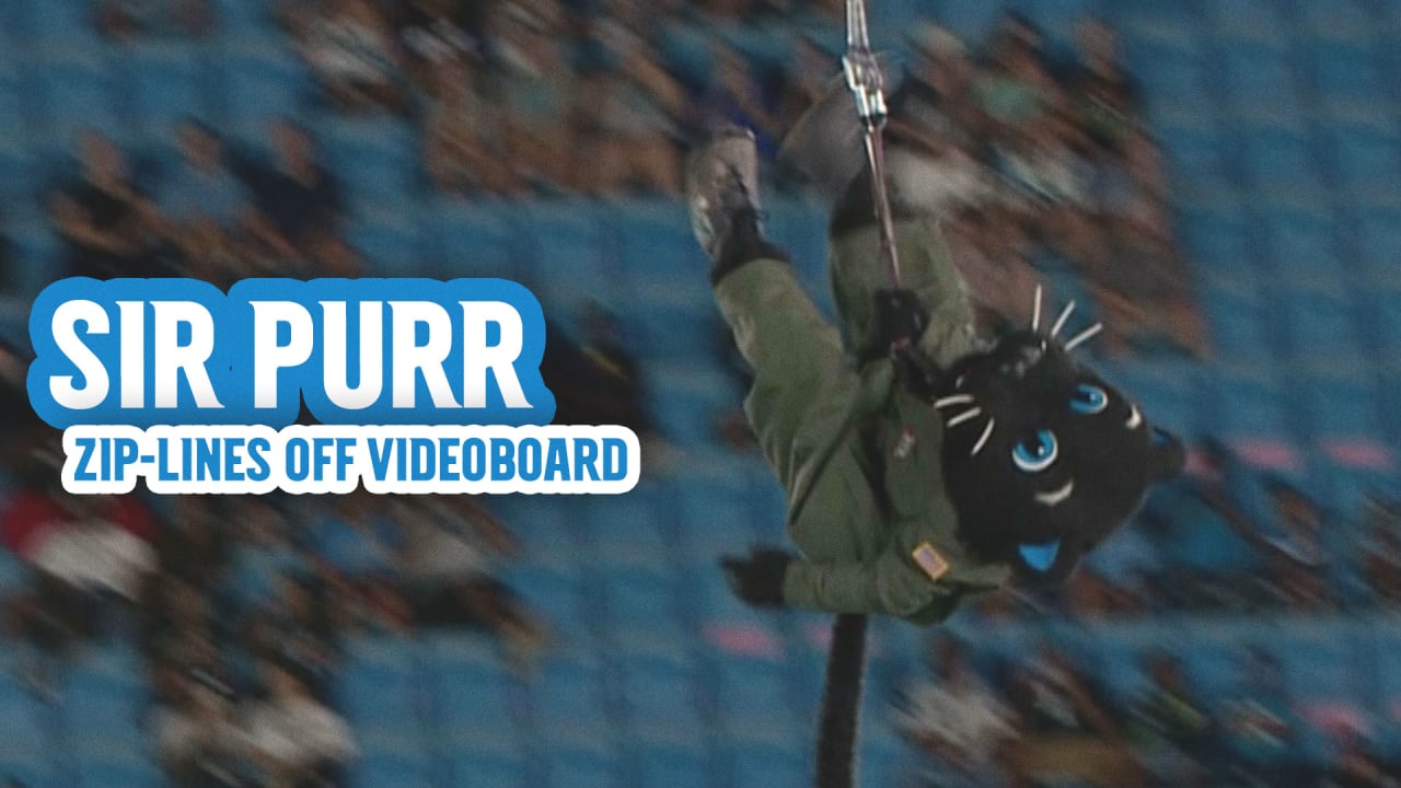 Sir Purr zip-lines off videoboard at 2022 Fan Fest