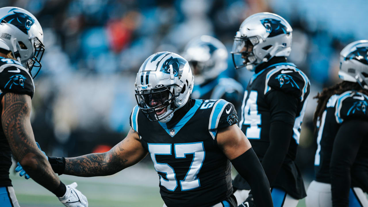 Panthers release linebacker Damien Wilson