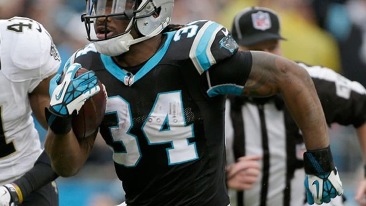 DeAngelo Williams 43-Yard TD Run