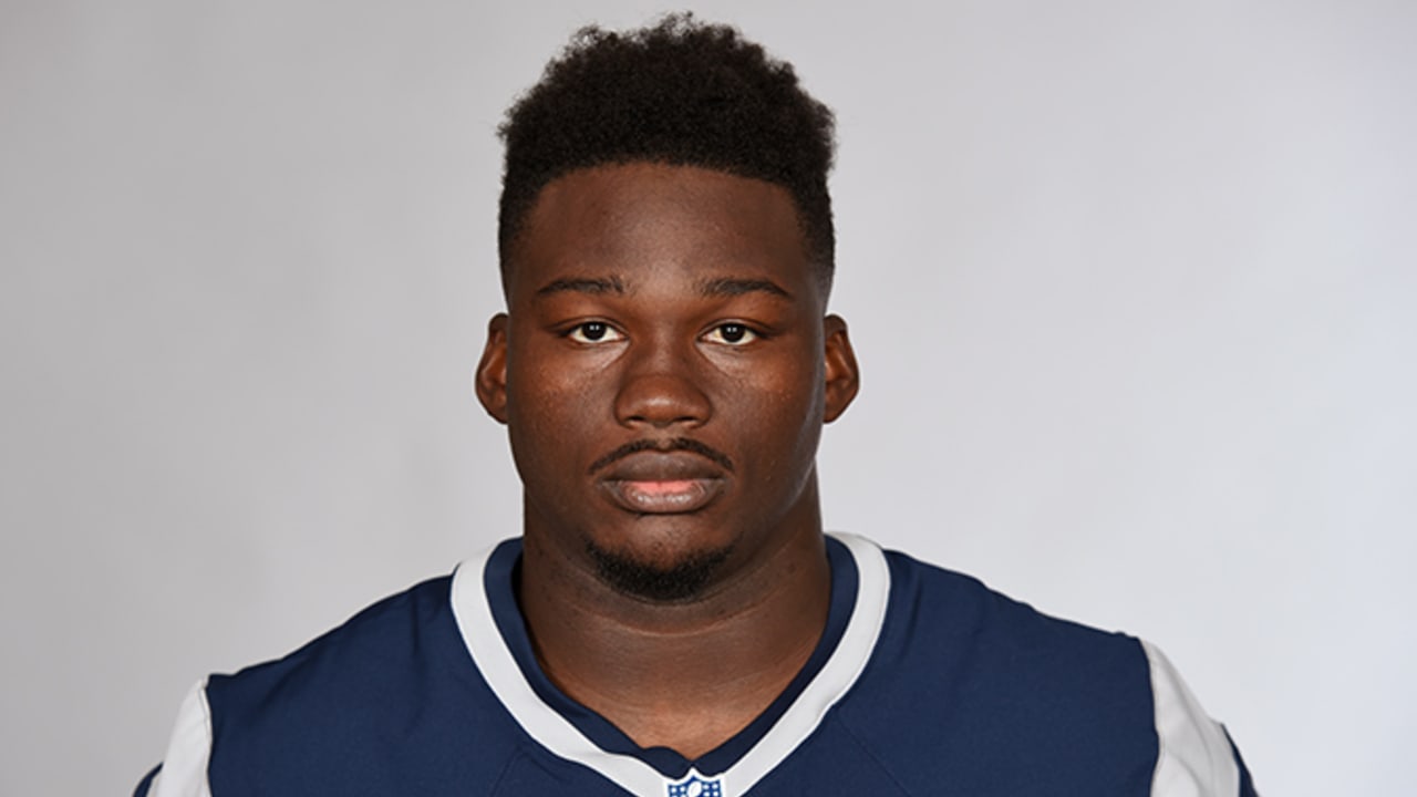 Patriots sign DL Woodrow Hamilton to the practice squad