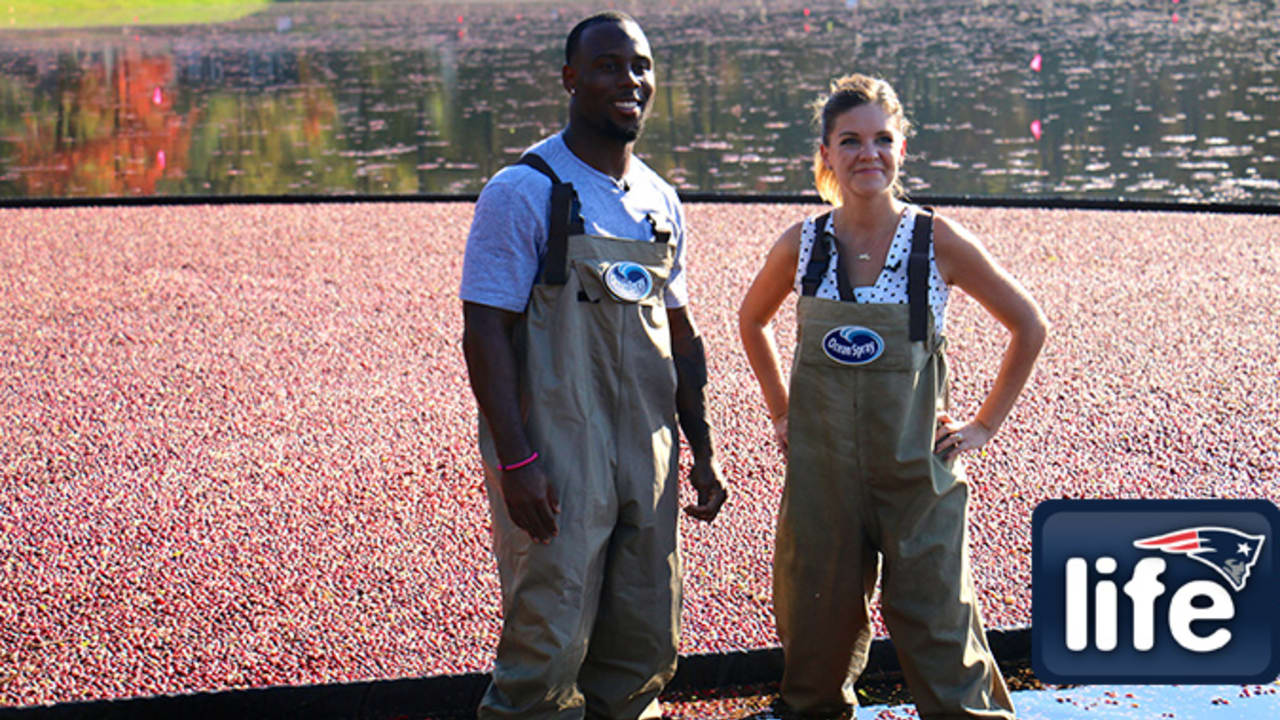 Who Did it Better? James White takes on Channel 7's Bri Eggers in ...