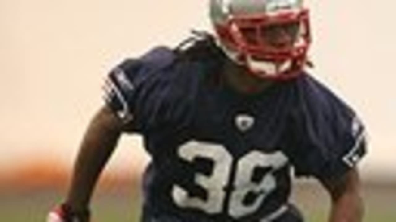 Meet the Rookies - S Brandon Meriweather
