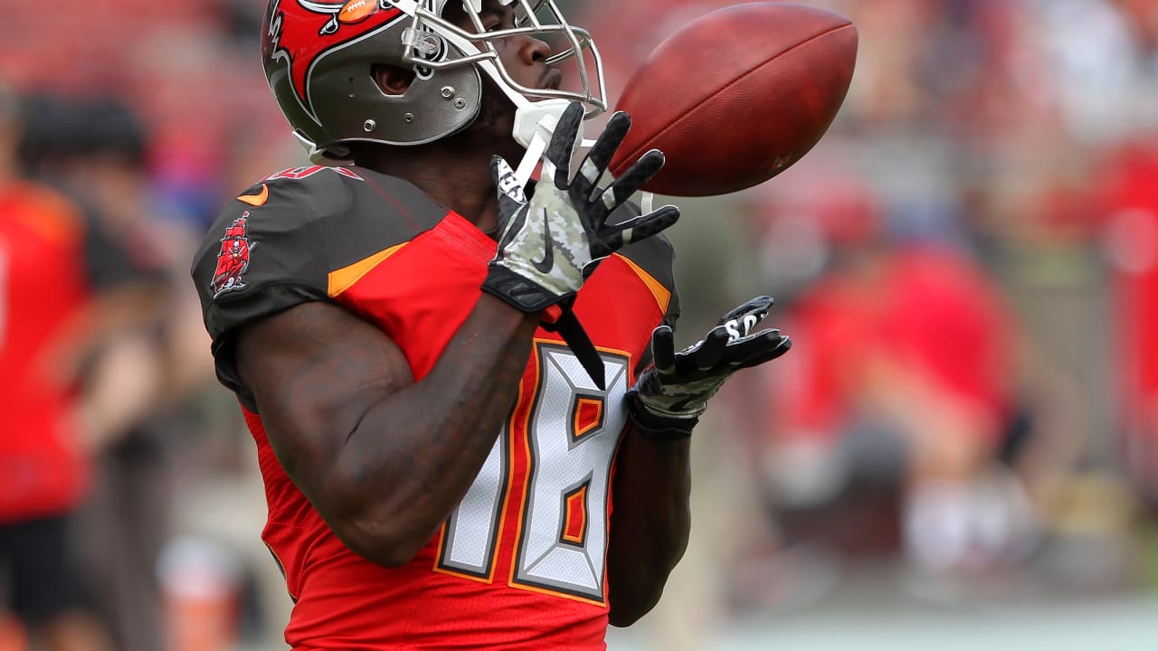 Patriots Sign WR Bernard Reedy to the Practice Squad; Release DL Mike ...