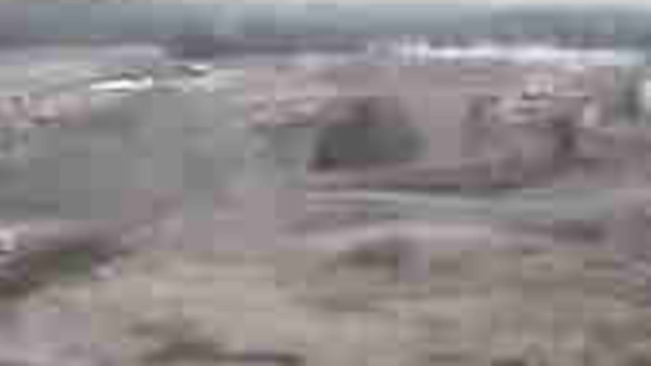 Watch the construction of the new CMGI Field