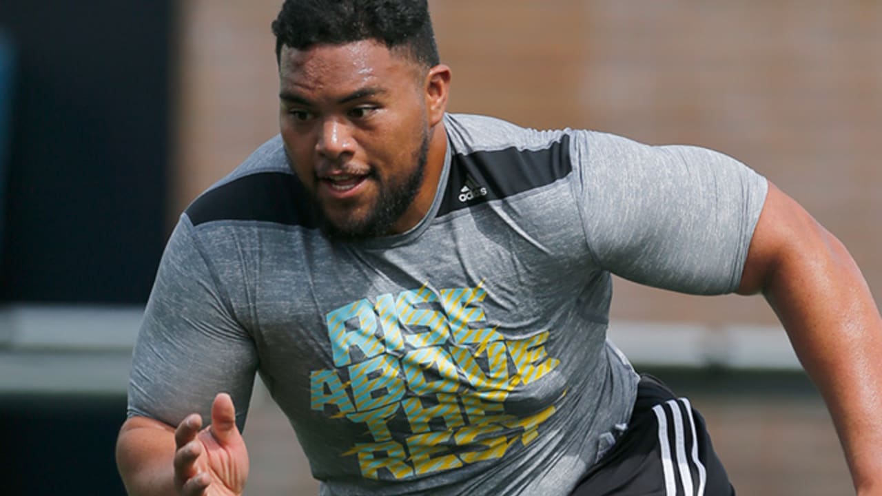 Patriots sign rookie free agent DL Seali'i Epenesa