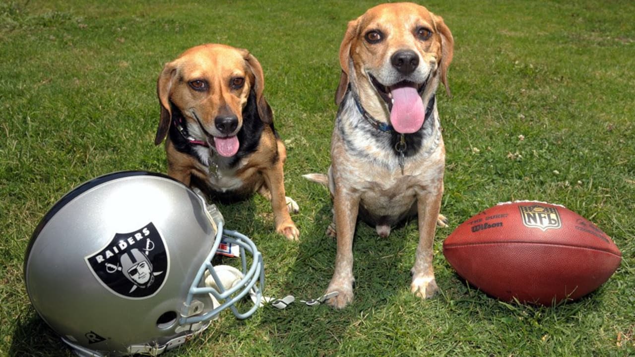 Raider Nation - The Pet Delegation