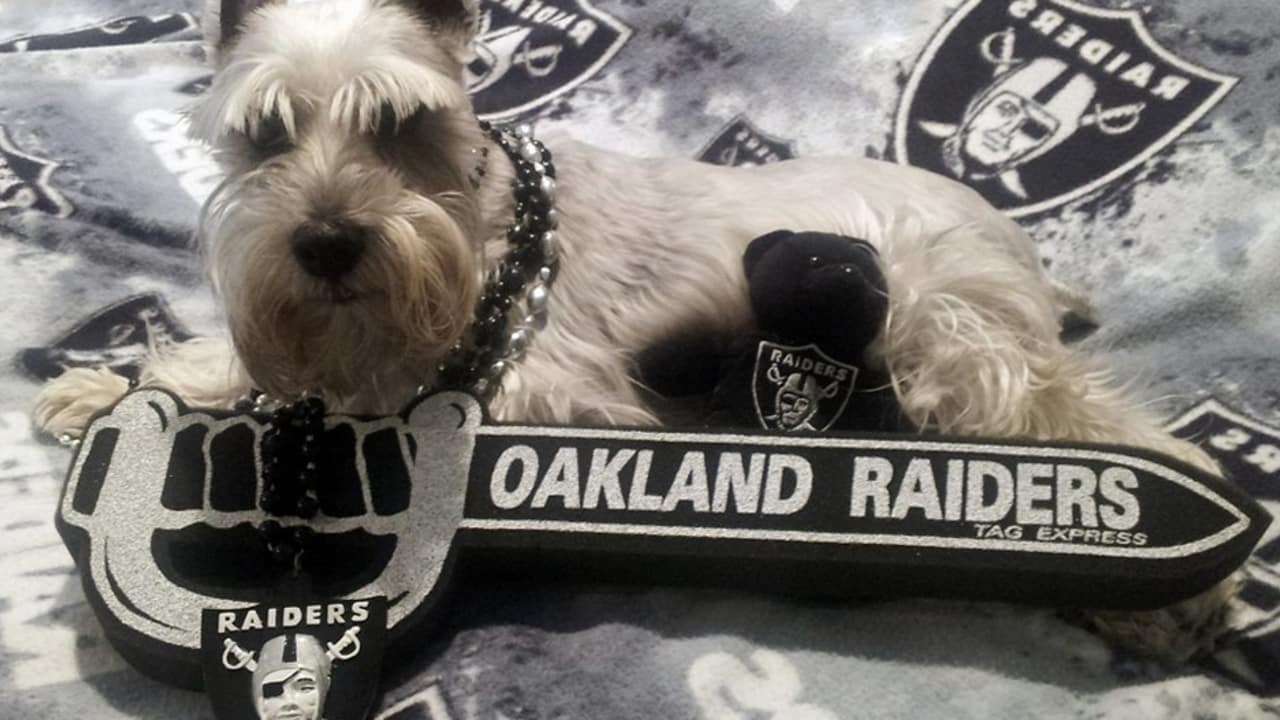 Raider Nation - The Pet Delegation