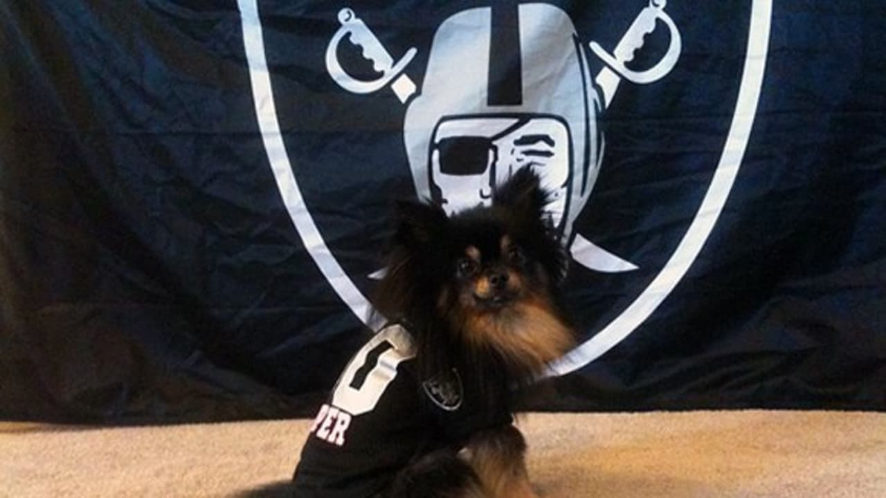 Raider Nation - The Pet Delegation