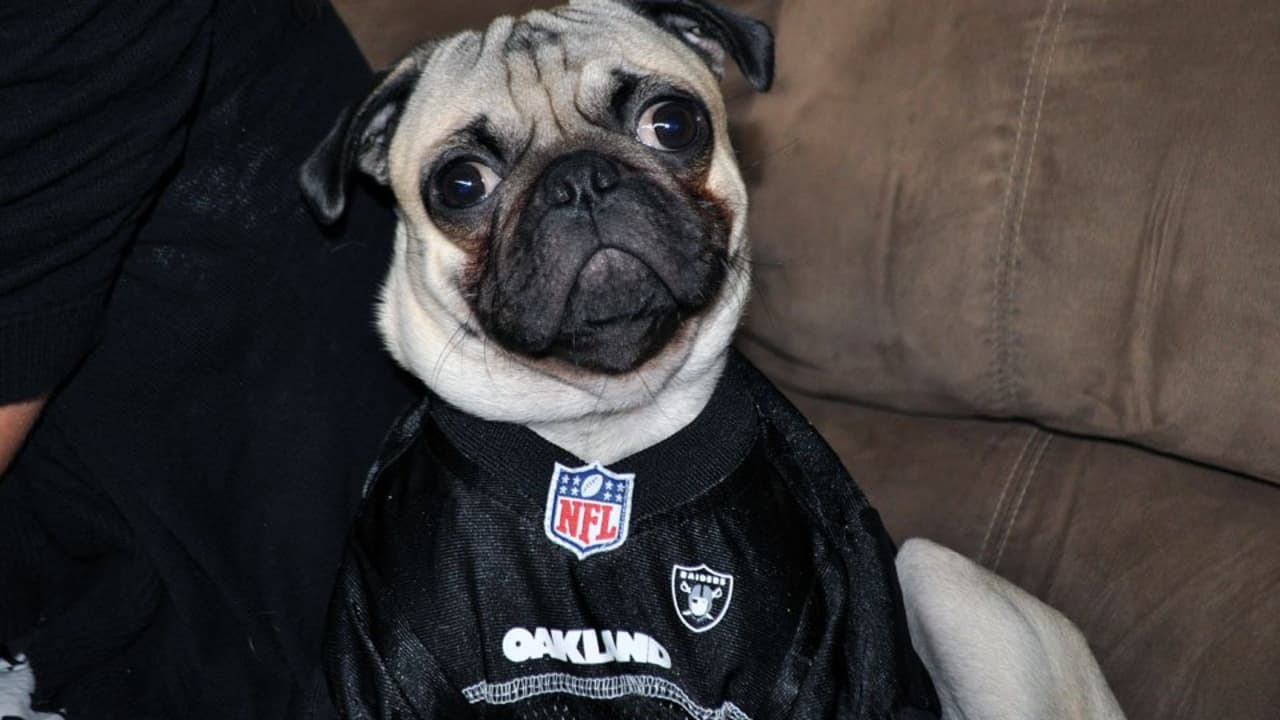 Raider Nation - The Pet Delegation
