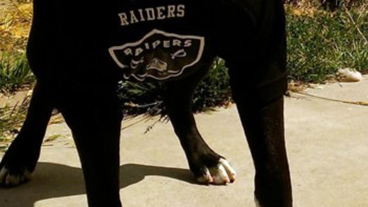 Raider Nation - The Pet Delegation