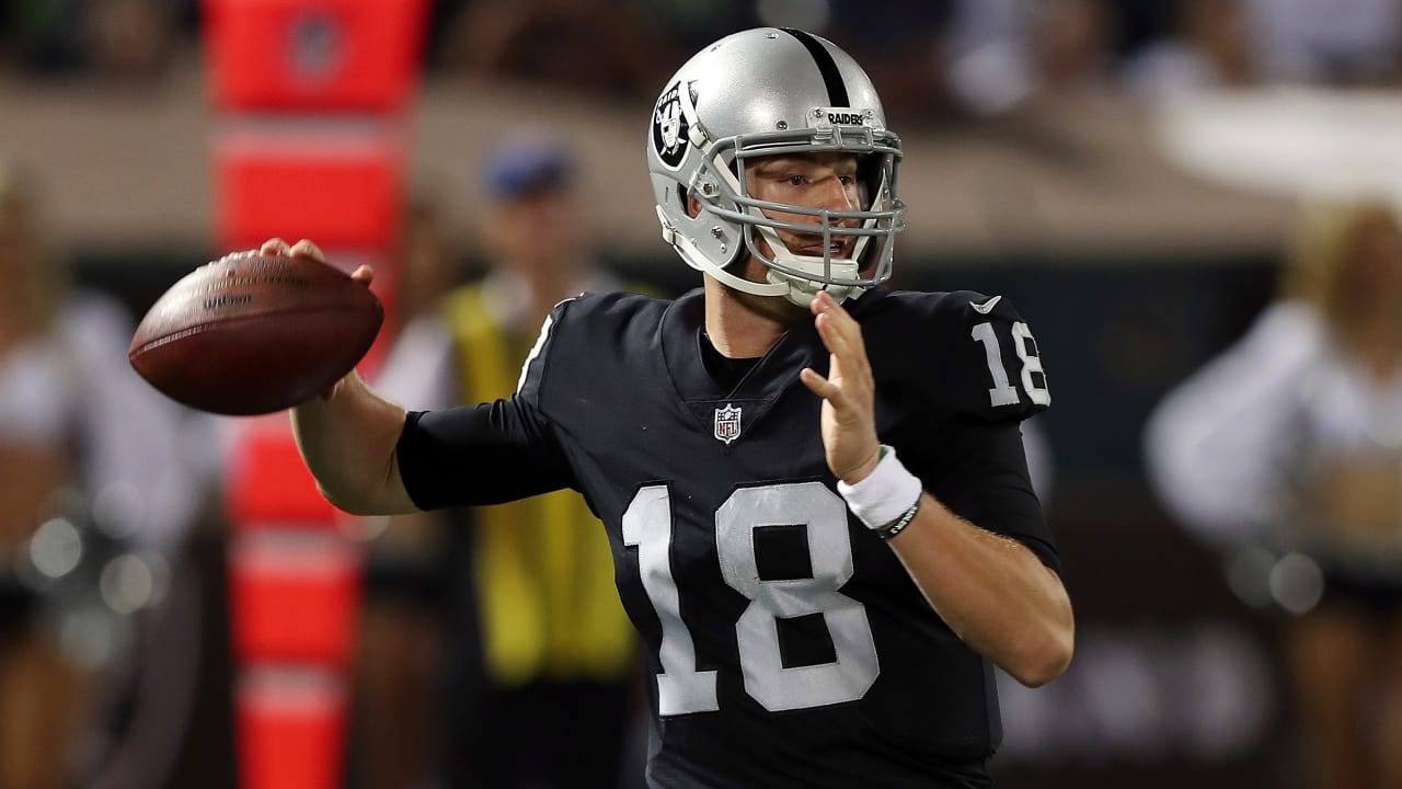 Raiders Doman Leones