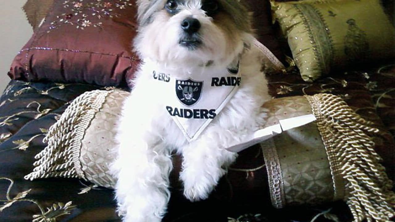 Raider Nation - The Pet Delegation