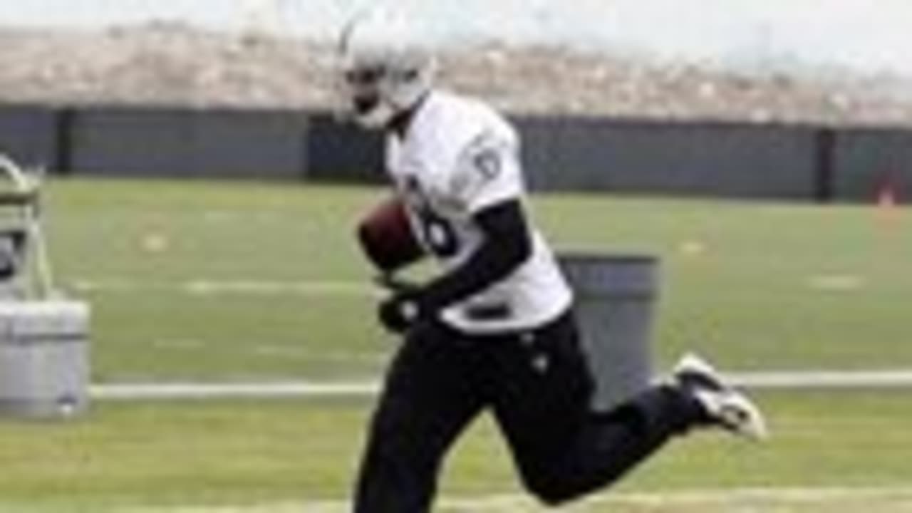 Raiders Trade WR Louis Murphy to Carolina