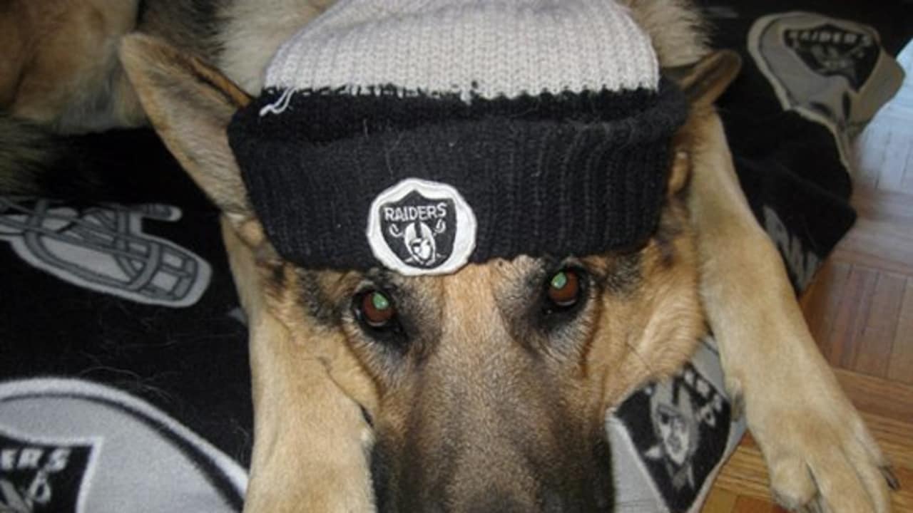 Raider Nation - The Pet Delegation