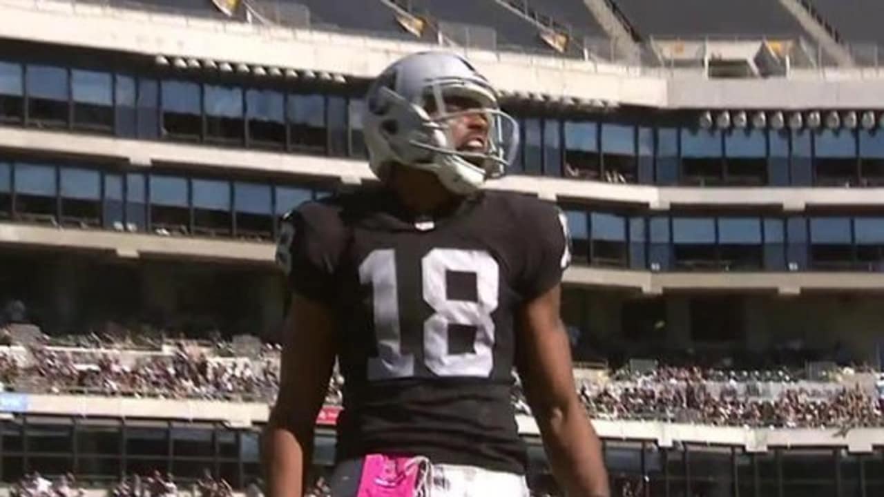 Andre Holmes 30-yard catch