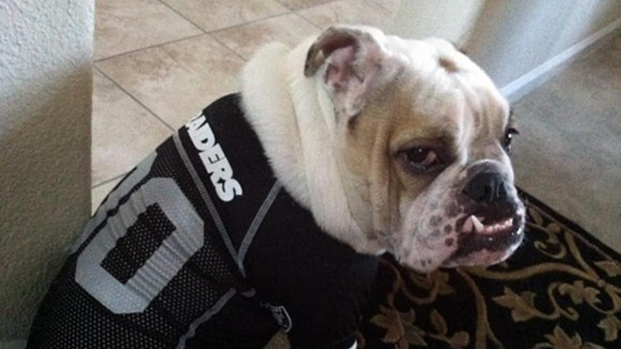 Raider Nation - The Pet Delegation