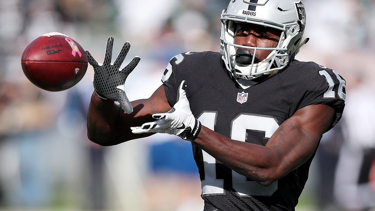 QB Connor Cook throws 17-yard TD to WR Johnny Holton