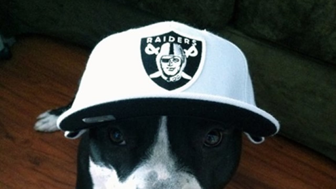 Raider Nation - The Pet Delegation