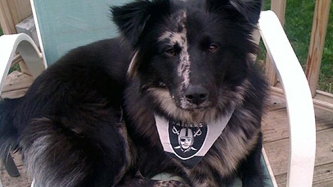 Raider Nation - The Pet Delegation