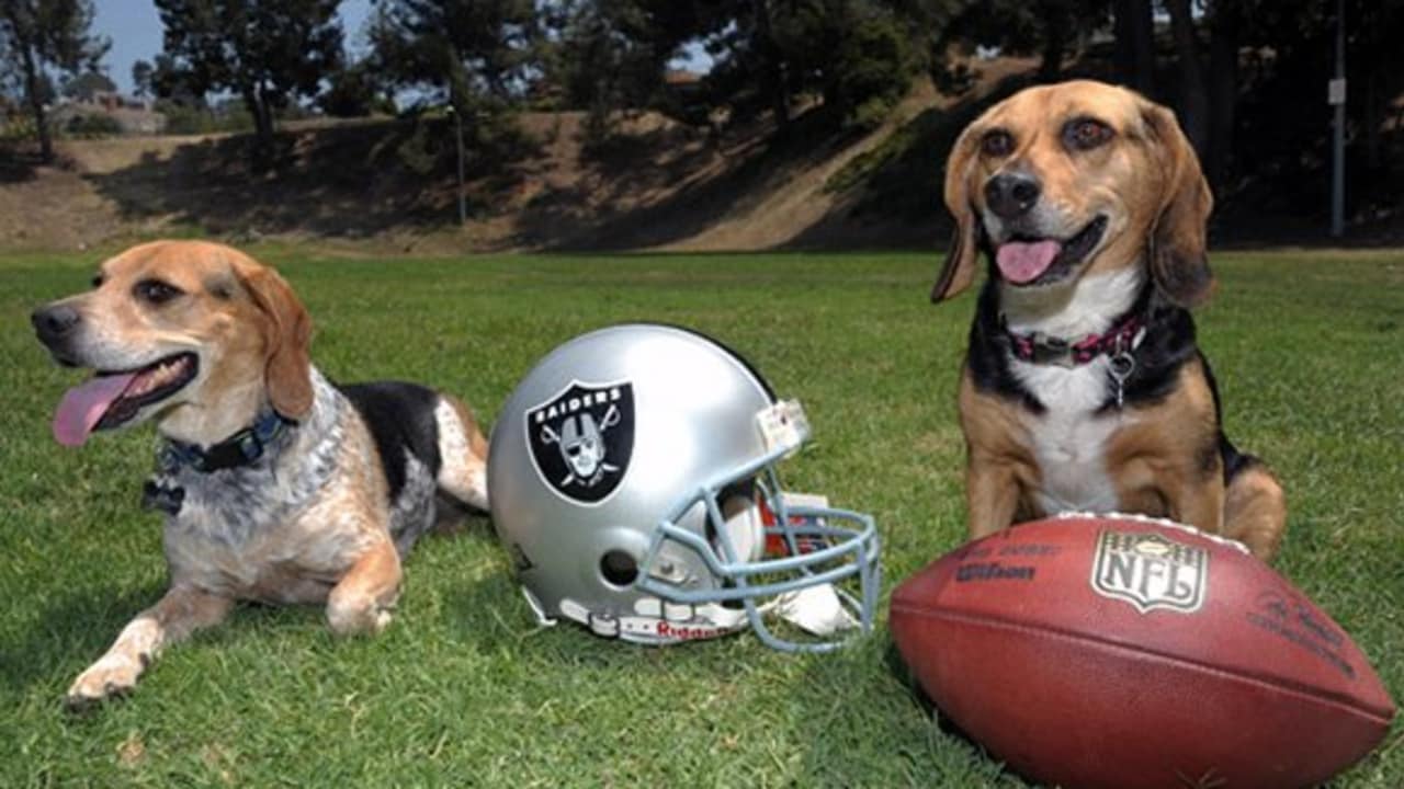 Raider Nation - The Pet Delegation