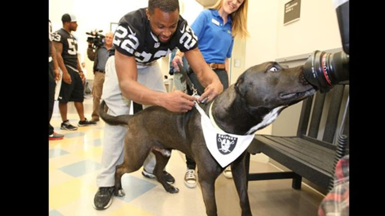 Raiders Participate in "Road to the Puppy Bowl"