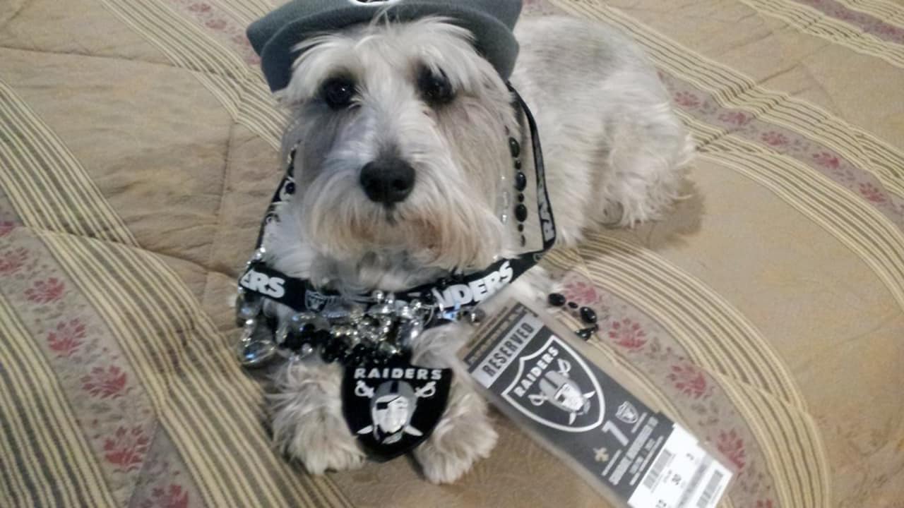 Raider Nation - The Pet Delegation
