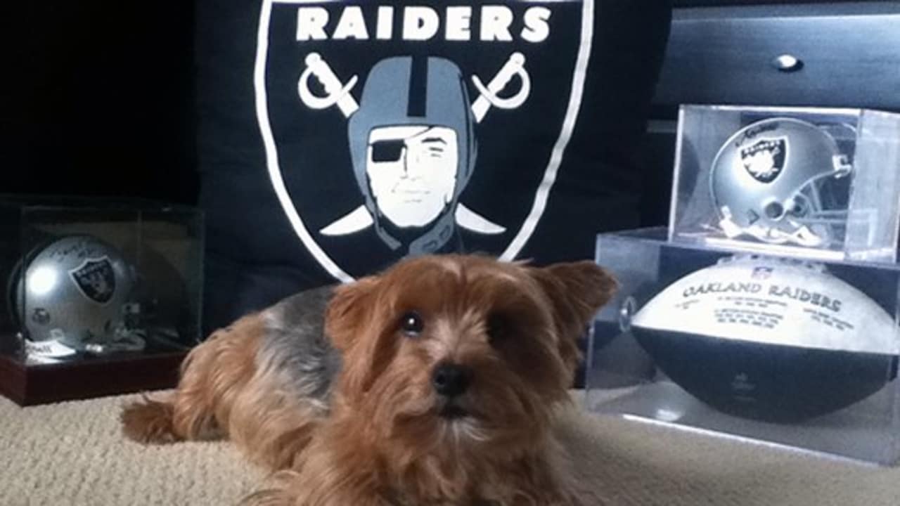 Raider Nation - The Pet Delegation