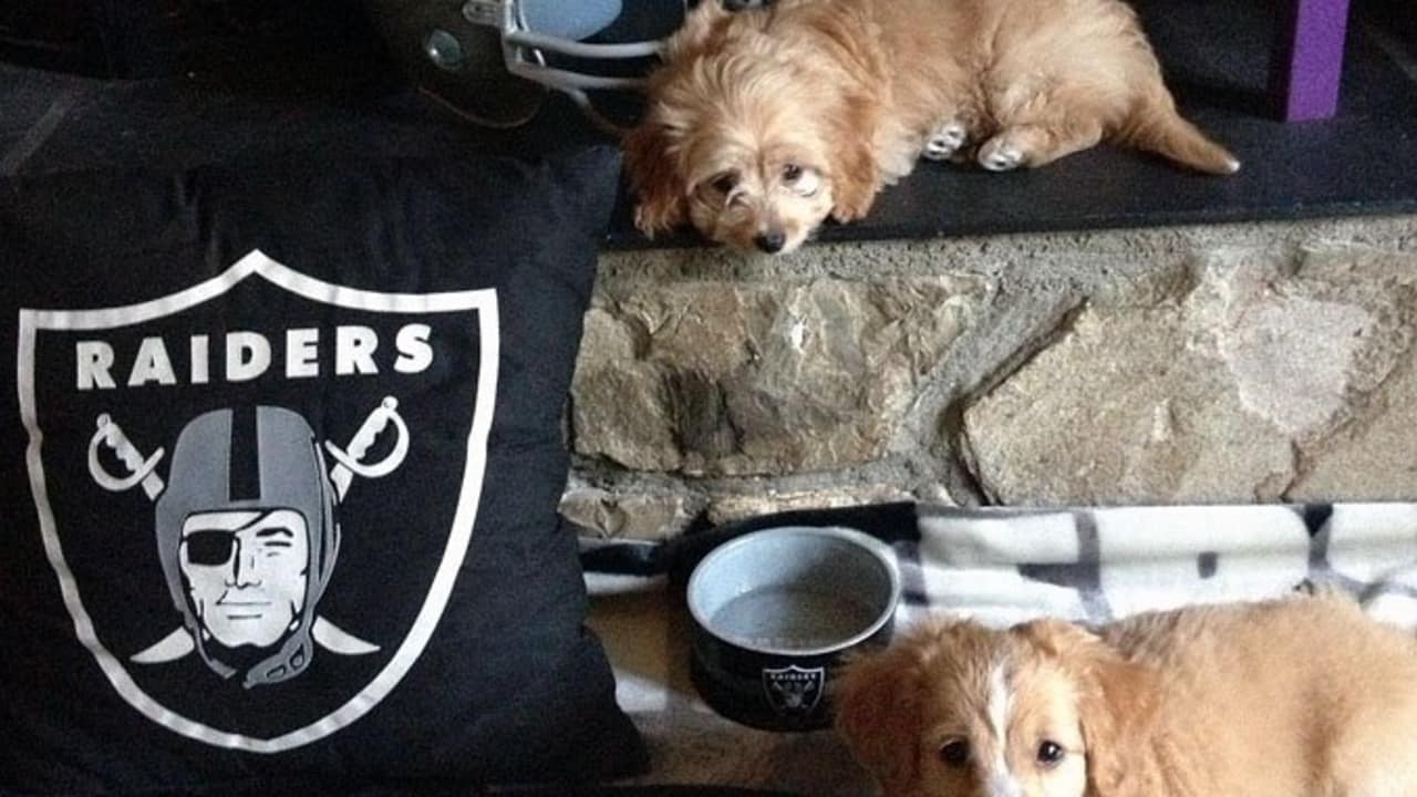 Raider Nation - The Pet Delegation
