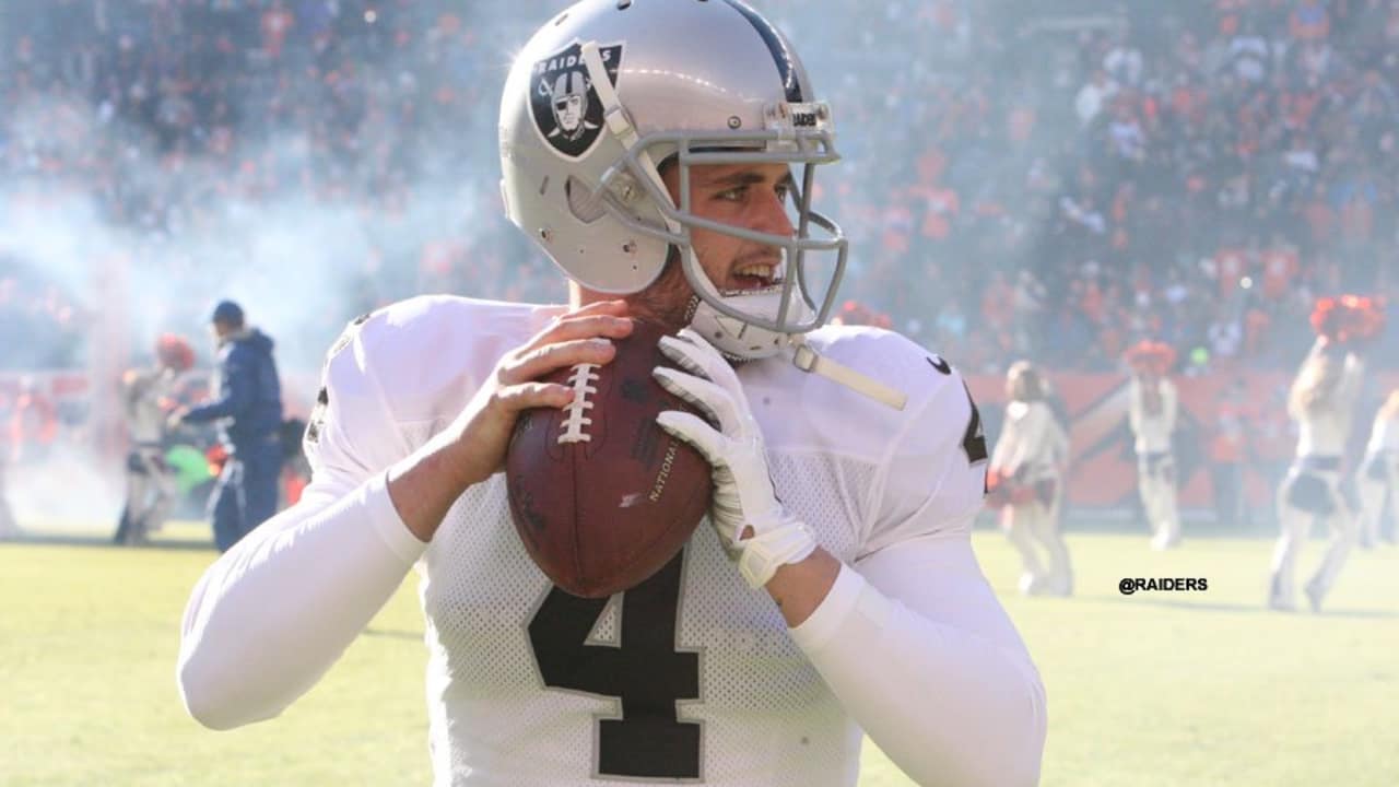 Get to Know the 2015 Raiders