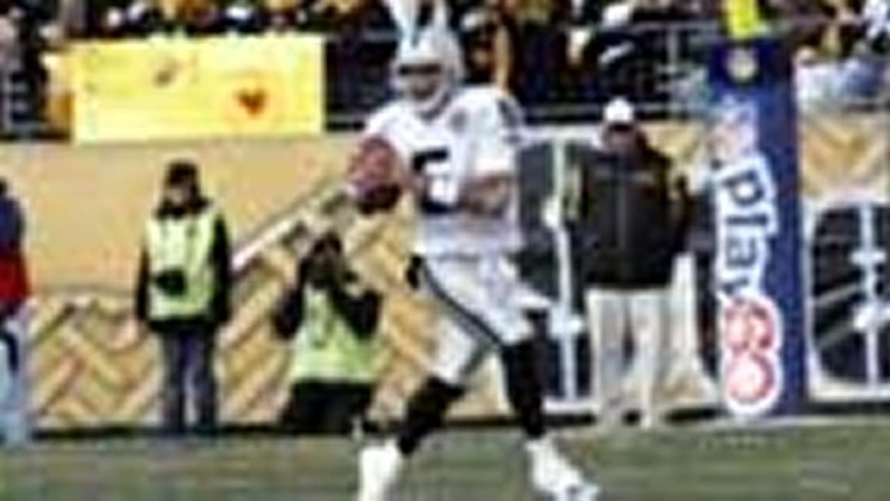 WK 13: Bruce Gradkowski highlights