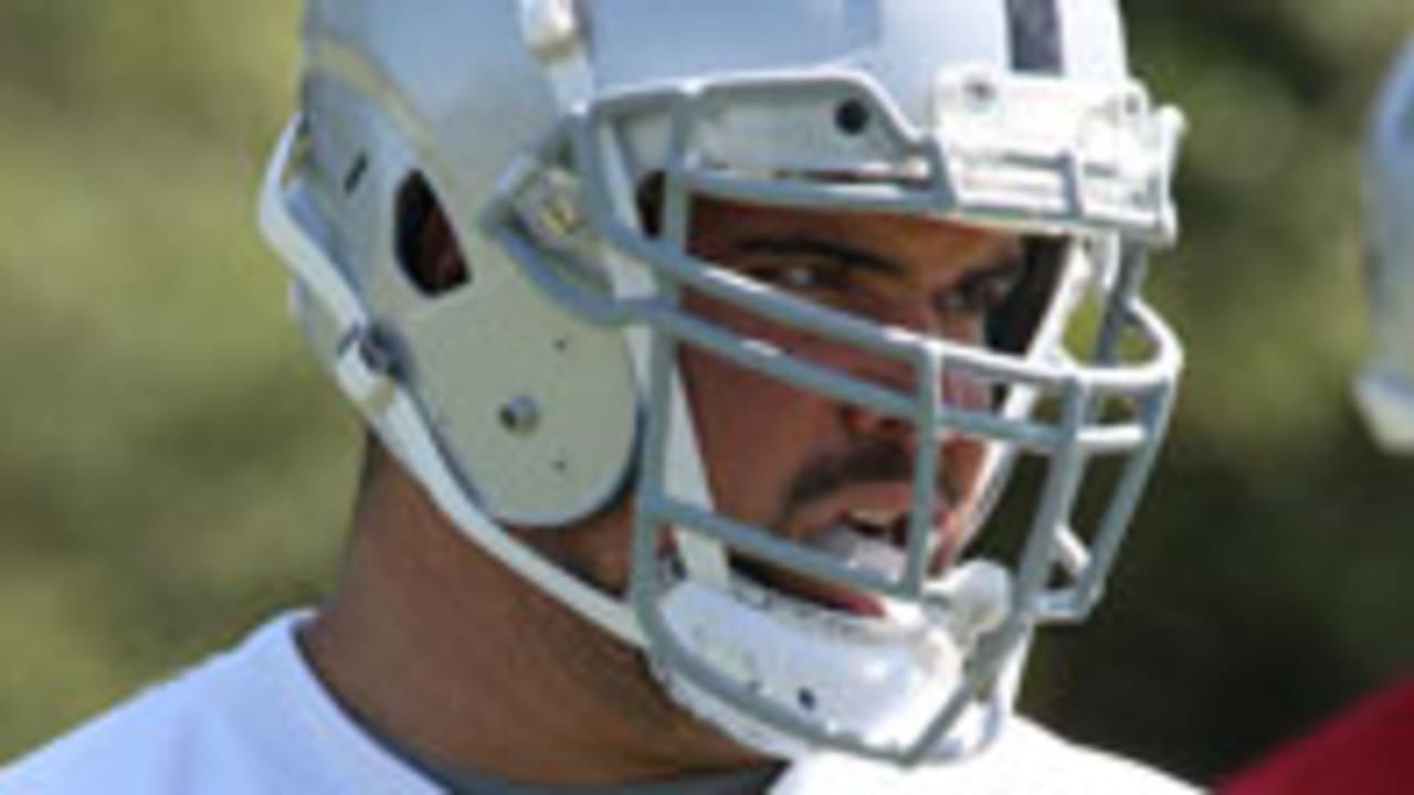 Fast Facts About Stefen Wisniewski