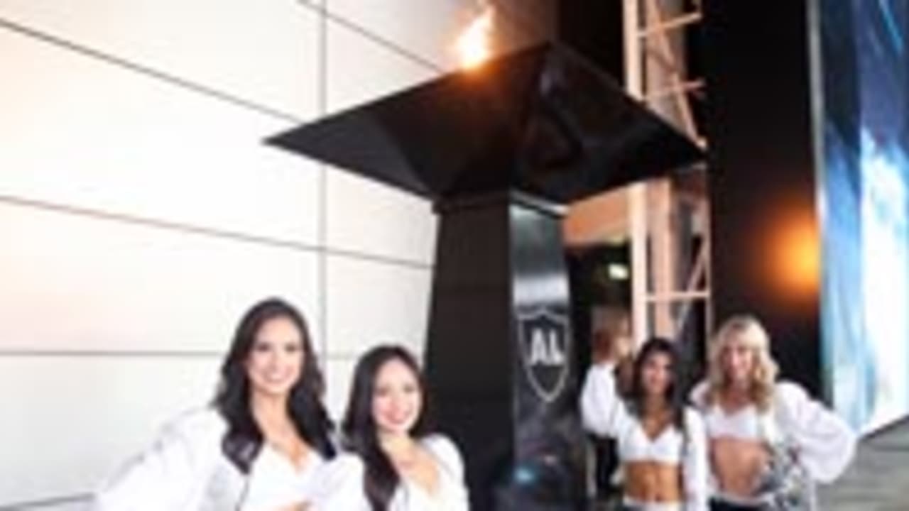 In Memory of and Tribute to Al Davis