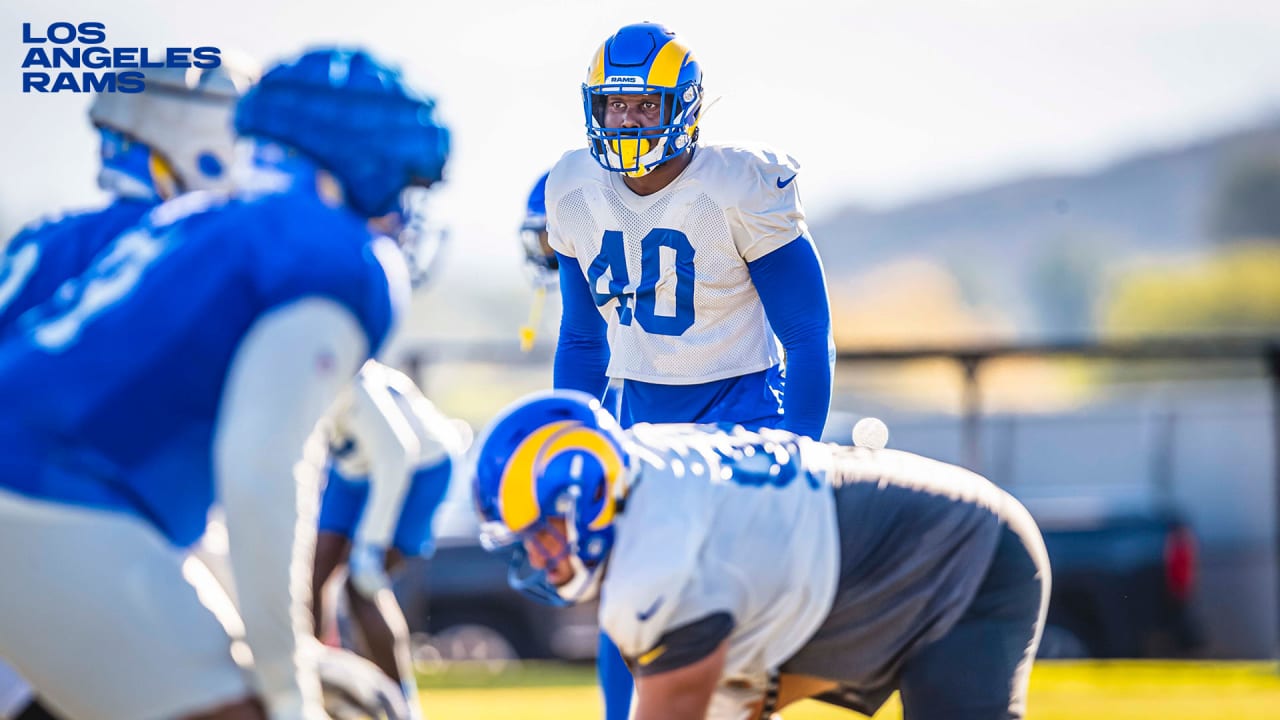 "I can't stop smiling": Aaron Donald, Rams defense excited to add Von ...