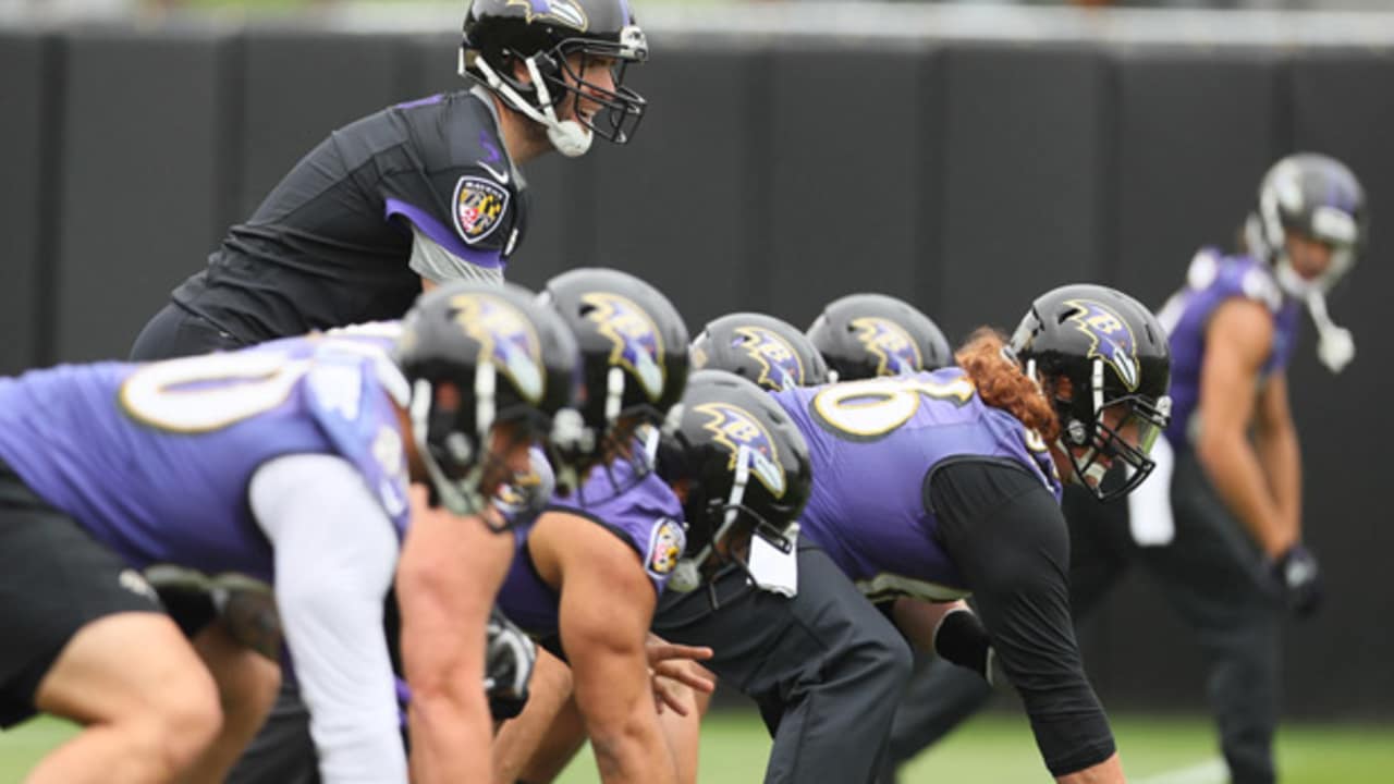 John Harbaugh Gives Insight Into Ravens' Starting Offensive Line