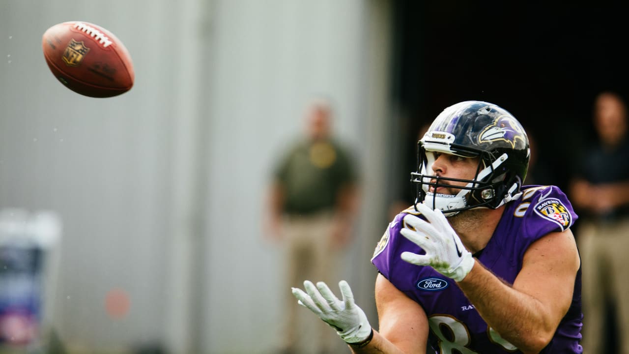 18 Ravens Who Stood Out Over the Past Week