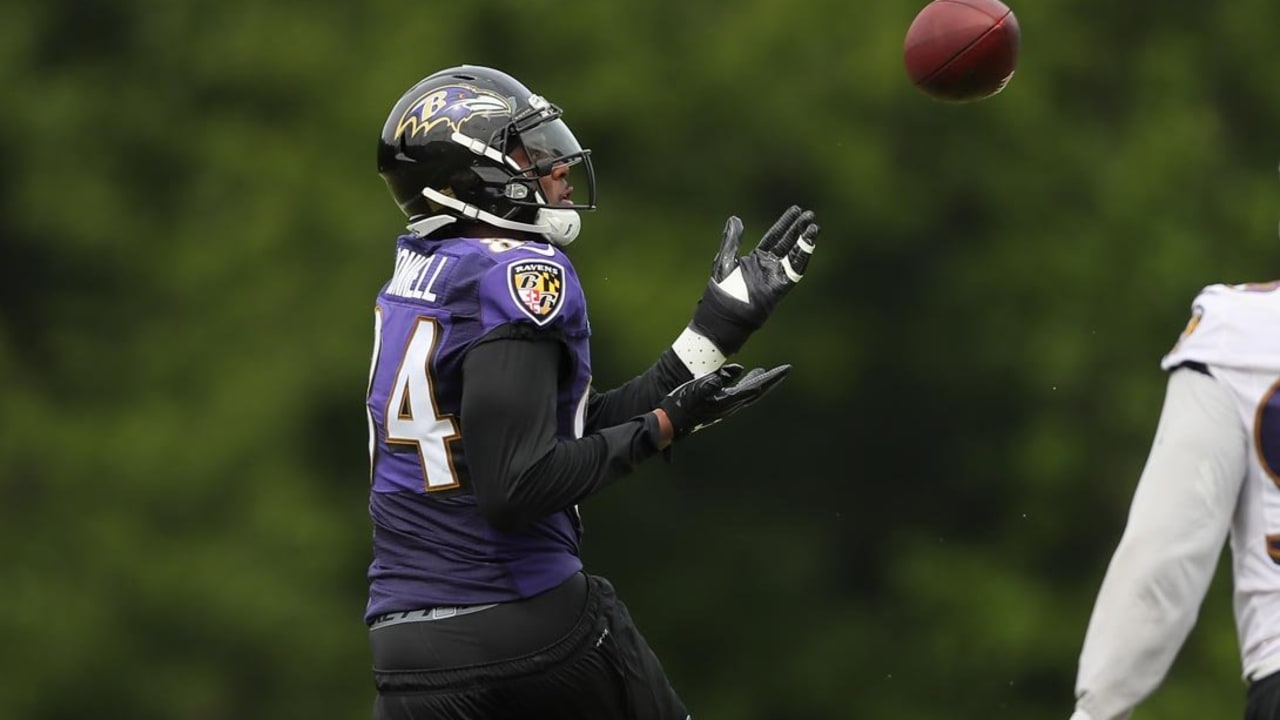 Camp Highlights: Donnell Makes Tough TD Grab in Traffic