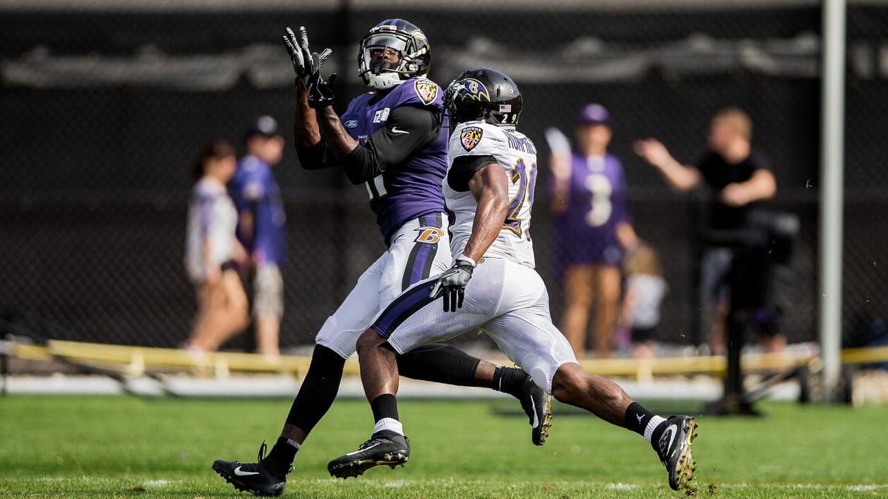 17 Ravens Who Stood Out This Week