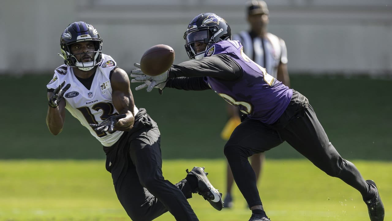 Photos: Ravens Grinding During Steelers Week