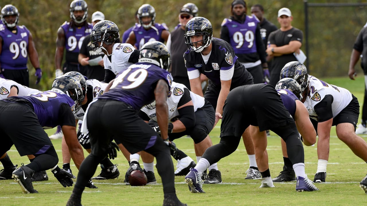 Photos: Ravens in the Lab, Preparing for Tennessee