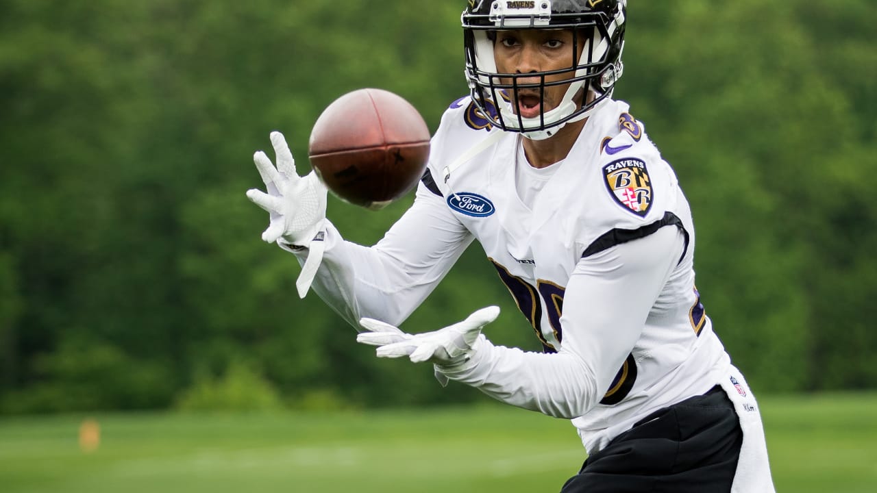 16 Ravens Who Stood Out Over the Past Week