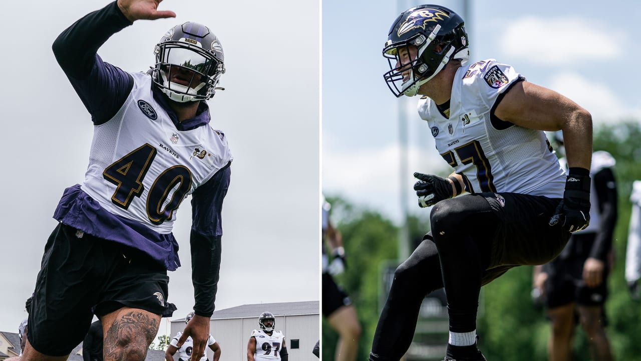 Ravens Training Camp Competition: Inside Linebacker