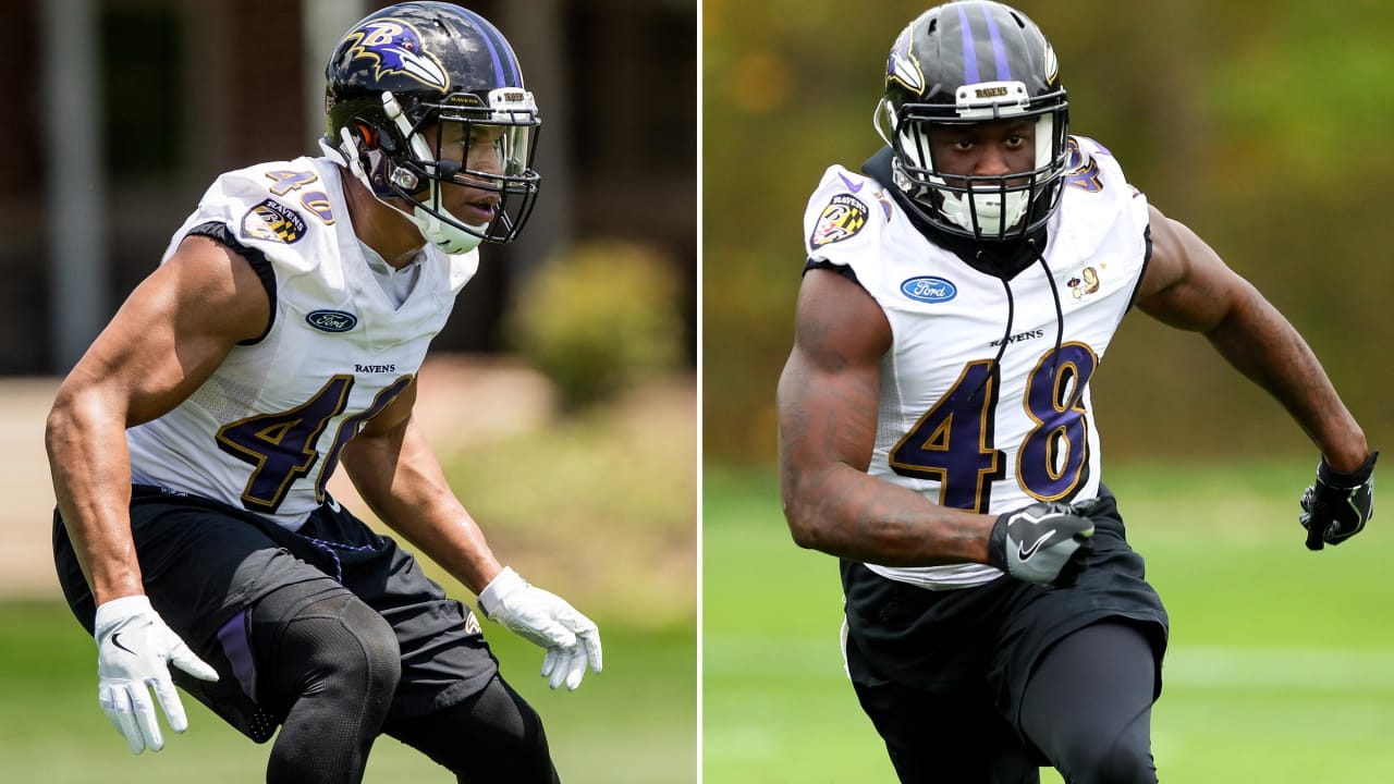 Analyzing Five Tough Ravens Roster Decisions