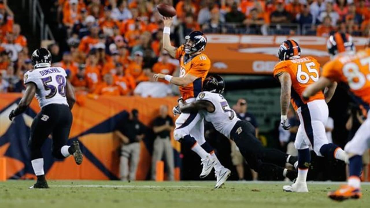 Movie Trailer: Ravens Are Coming