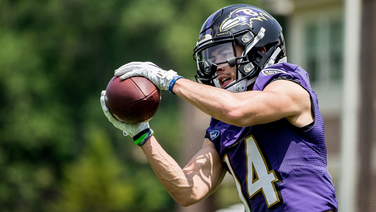 Former Ravens Playing in the XFL